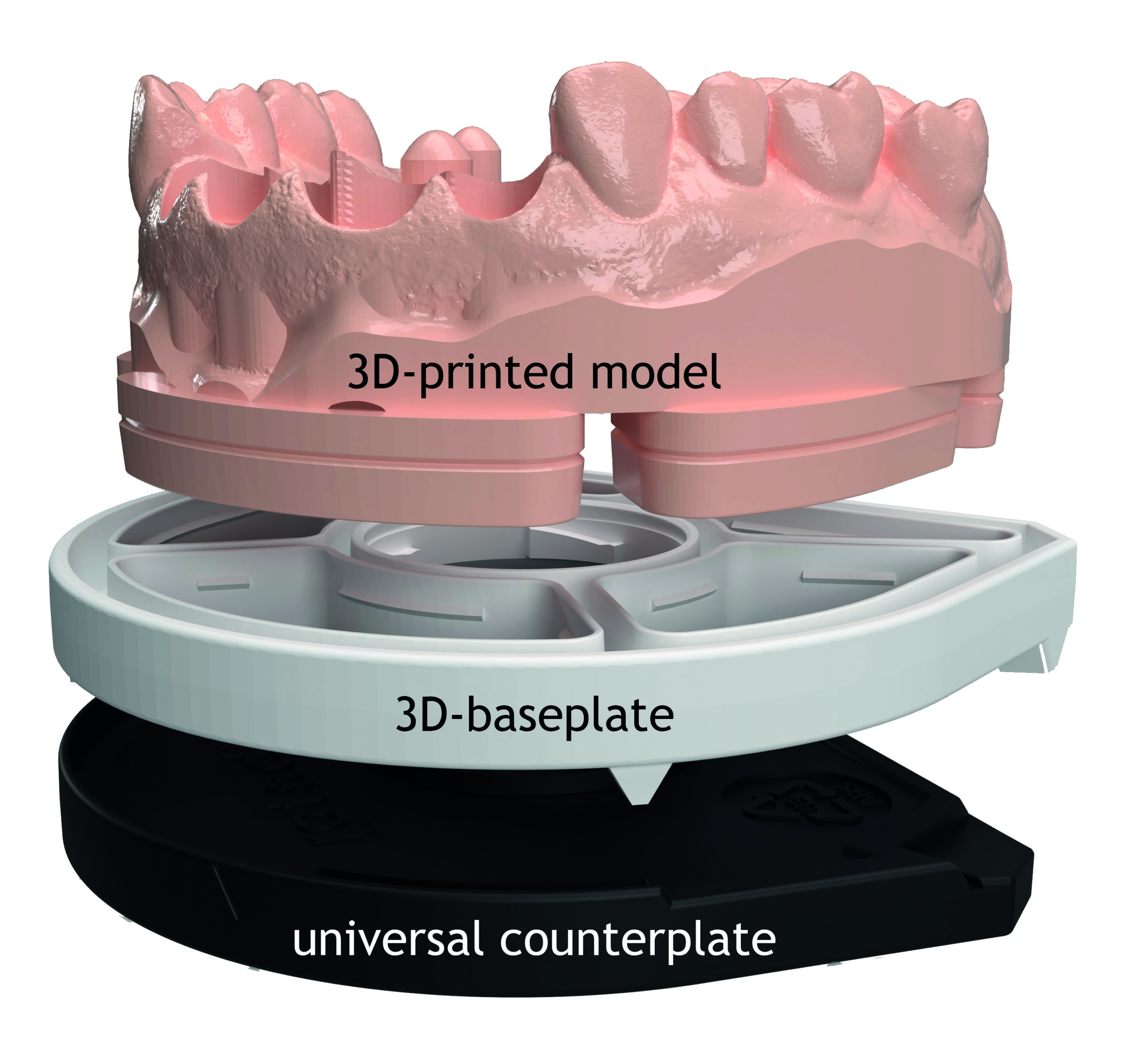 RotoClick 3D Modellsystem - BriegelDental